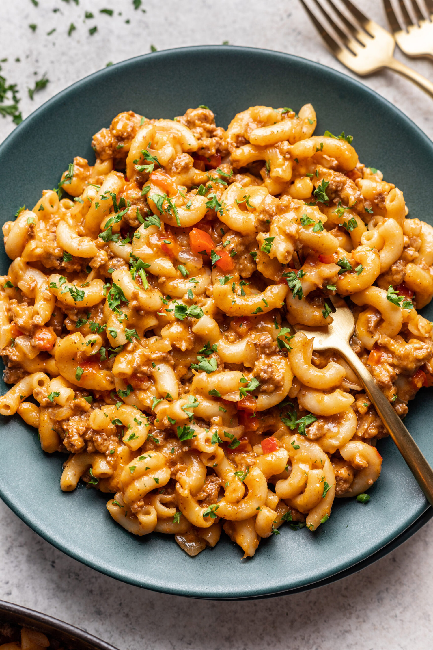 One Pot Sloppy Joe Pasta - Life is but a Dish