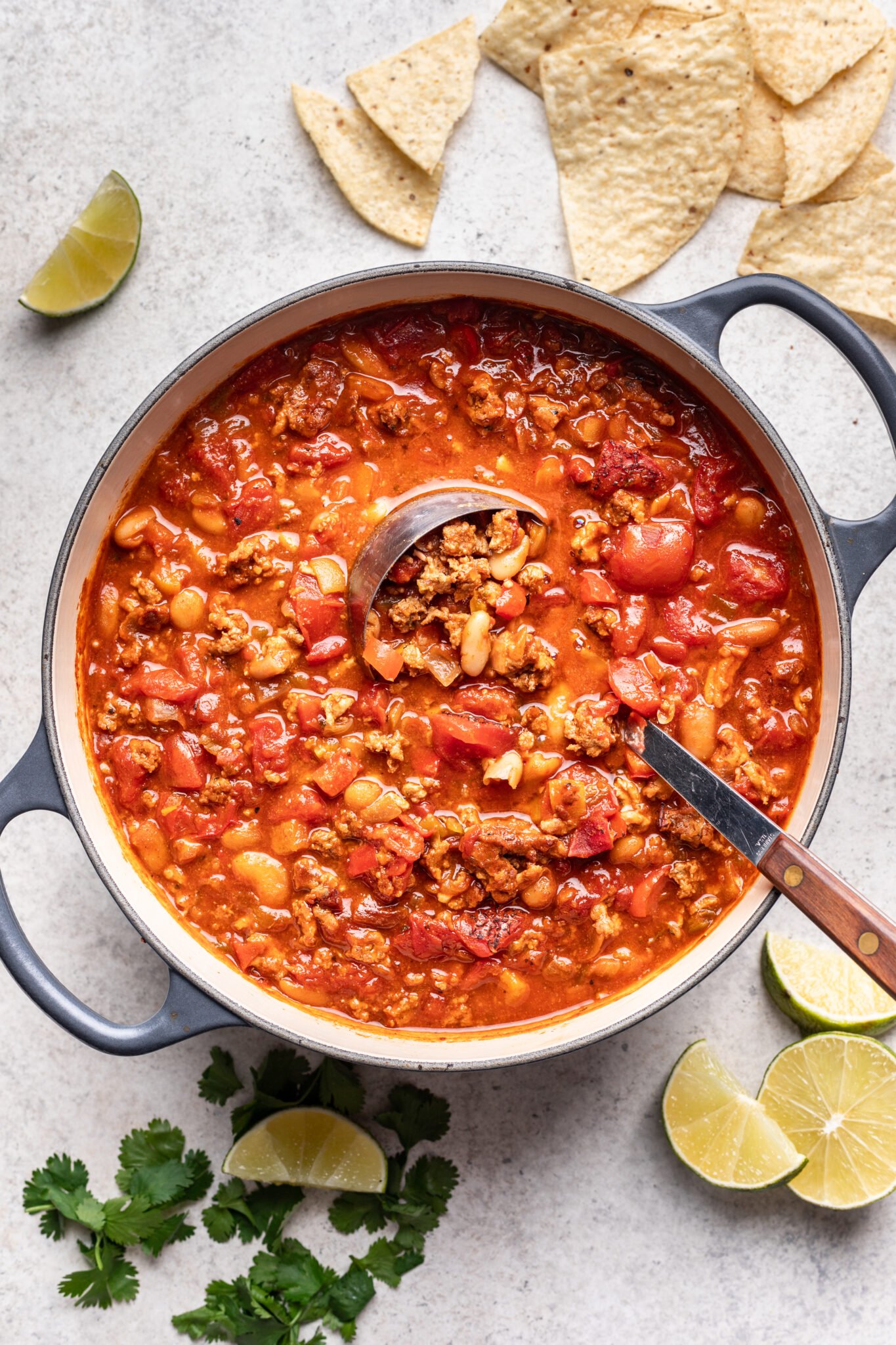 30-Minute Ground Chicken Chili with Beans - Life is but a Dish