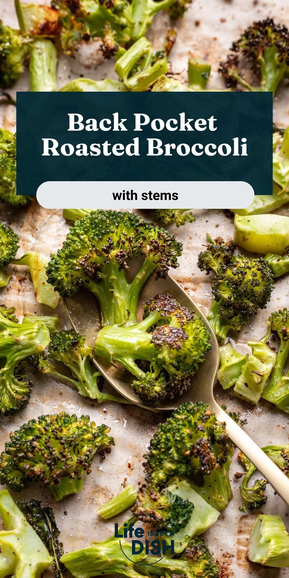 Back Pocket Roasted Broccoli (With the Stems!) - Life is but a Dish